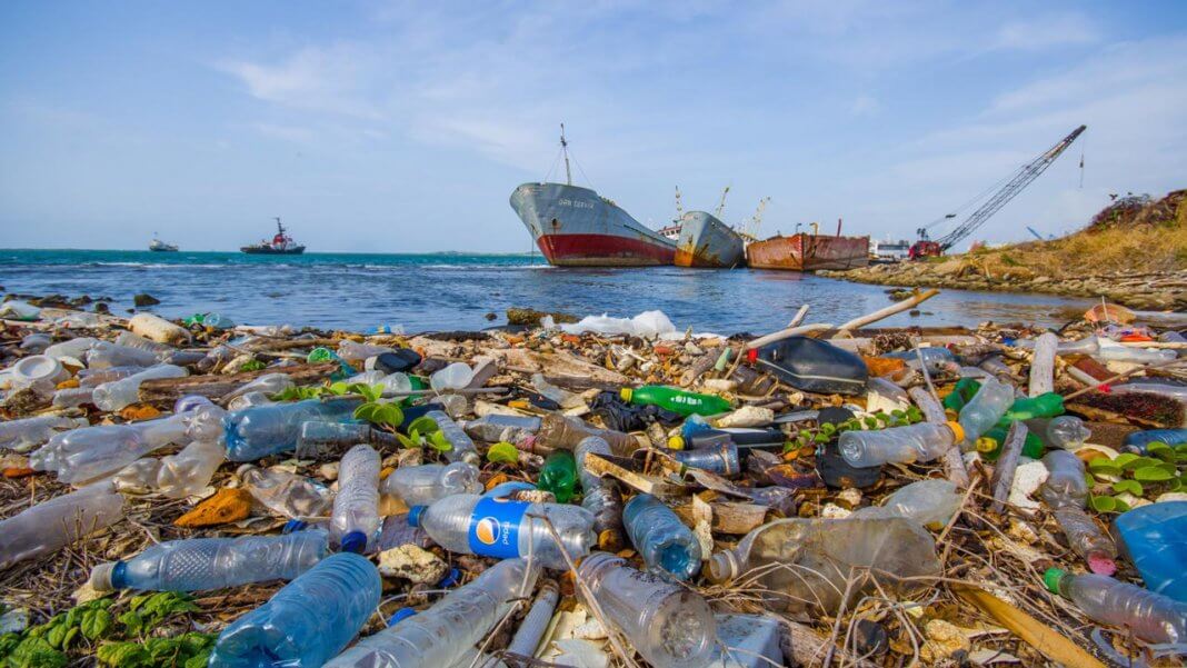 100,000 Marine Animals Killed By Plastic Pollution Every Year — AfDB ...